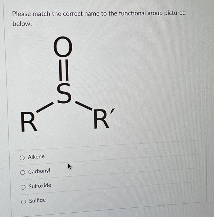 match the name to the funtional group | Chegg.com