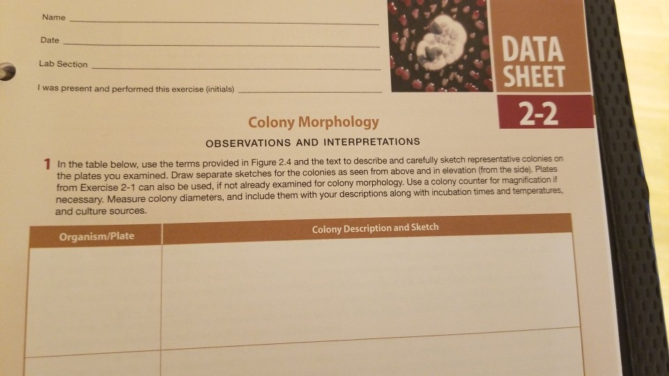 Solved: Name Date Lab Section DATA SHEET 2-2 I Was Present... | Chegg.com