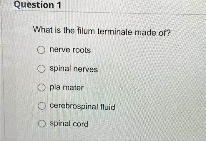 Solved Question 1 What is the filum terminale made of? O | Chegg.com