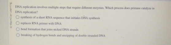 Solved DNA replication involves multiple steps that require | Chegg.com
