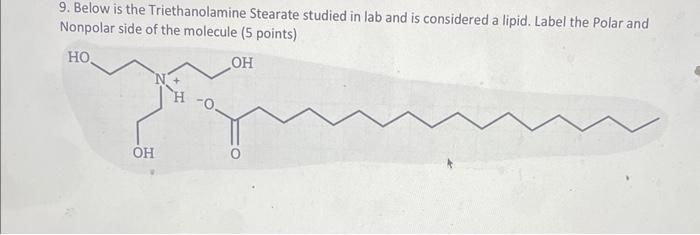 Solved 9. Below is the Triethanolamine Stearate studied in | Chegg.com