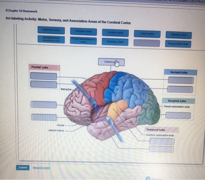 Solved 2a039ce | Chegg.com
