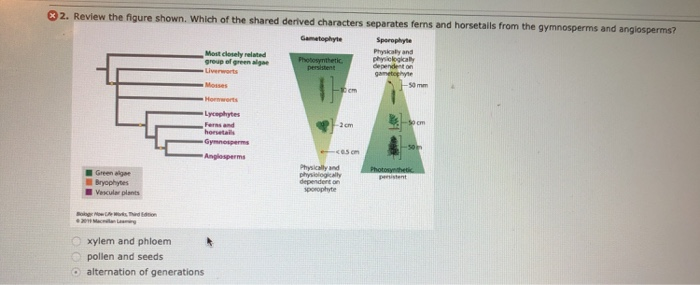 Solved 2. Review the figure shown. Which of the shared | Chegg.com