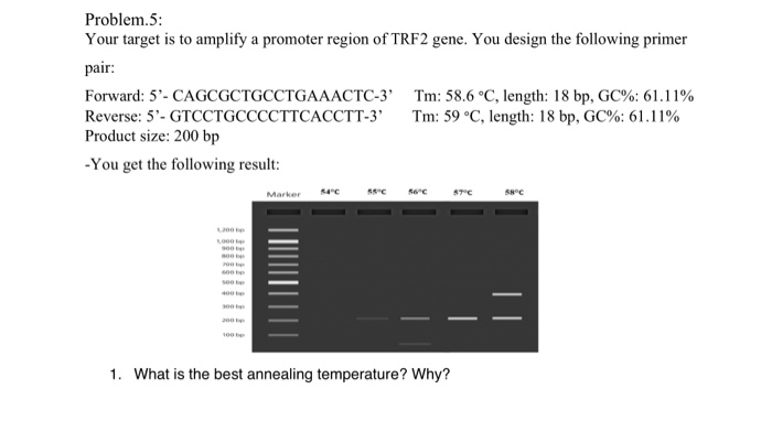 Solved Problem.1: What does a PCR optimization means? | Chegg.com