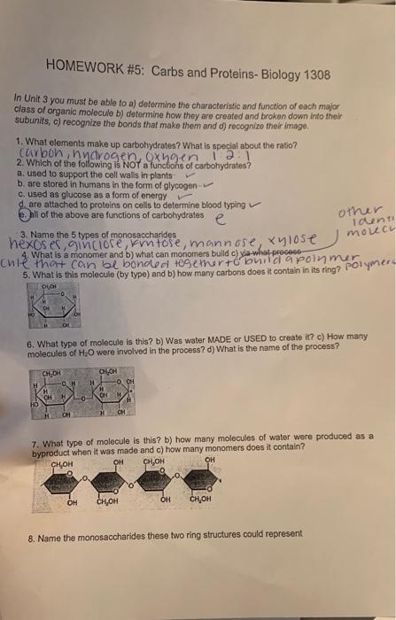 HOMEWORK #5: Carbs and Proteins-Biology 1308 In Unit | Chegg.com