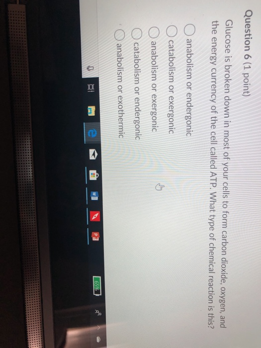 Solved Question 4 (1 point) According to the rule of eights, | Chegg.com