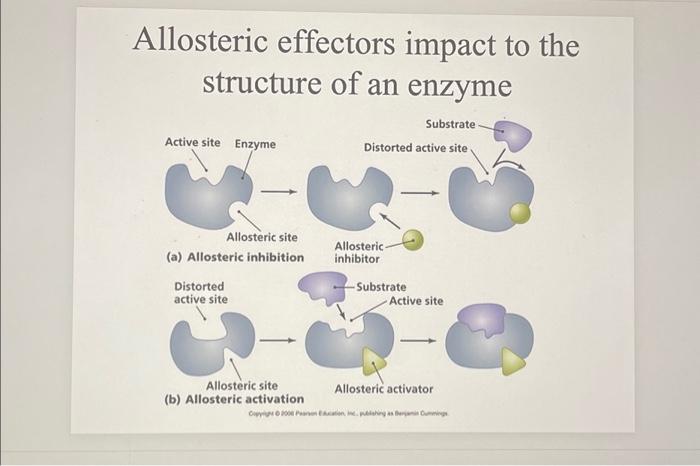 Solved Allosteric effectors impact to the structure of an | Chegg.com