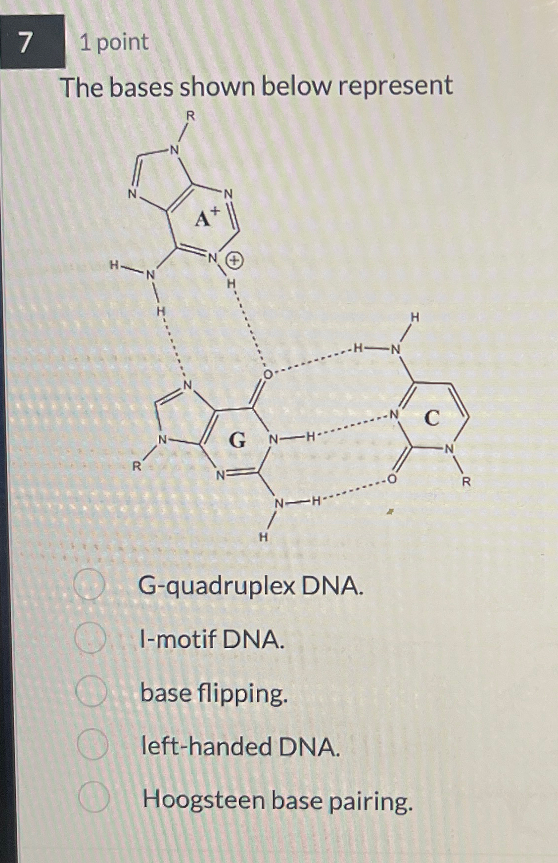 Solved 71 ﻿pointThe bases shown below representG-quadruplex | Chegg.com