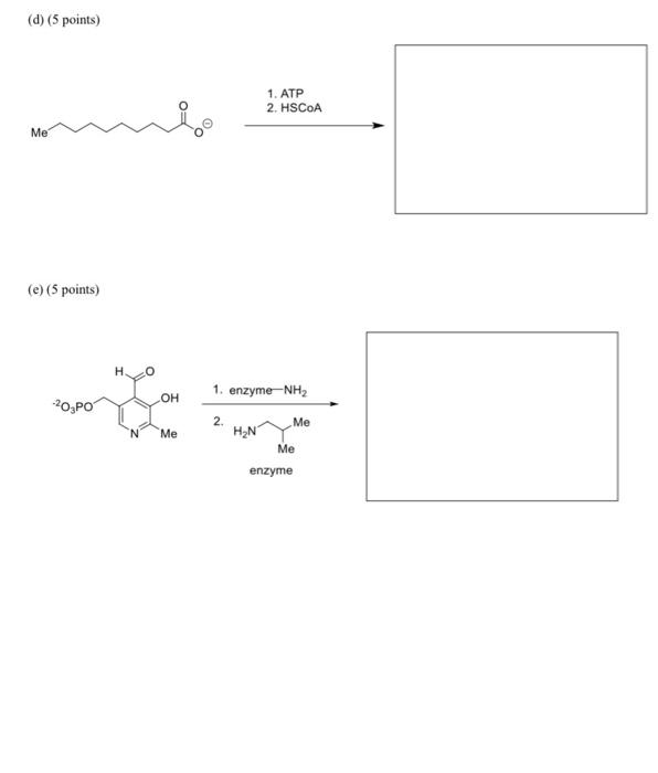 Solved (d) (5 points) 1. ATP 2. HSCOA Me (e) (5 points) OH | Chegg.com