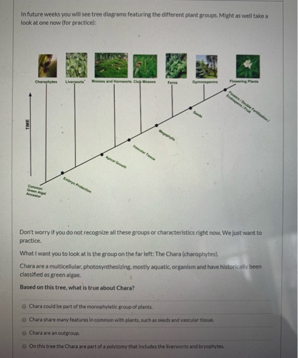 Solved Consider these identical) tree diagrams from the | Chegg.com