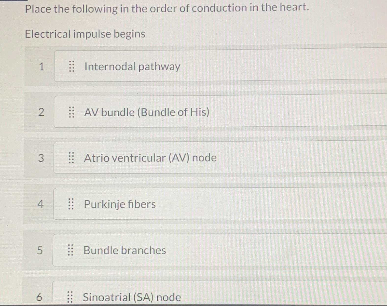 Solved Place the following in the order of conduction in the | Chegg.com