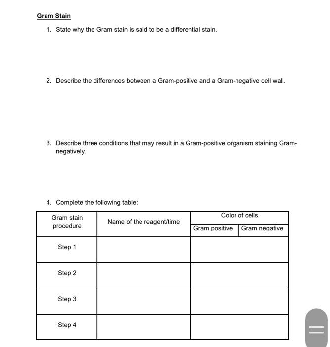 Solved Simple stain Q. 4: Make drawings of your simple stain | Chegg.com