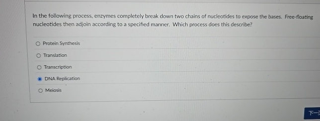 Solved In the following process, enzymes completely break | Chegg.com
