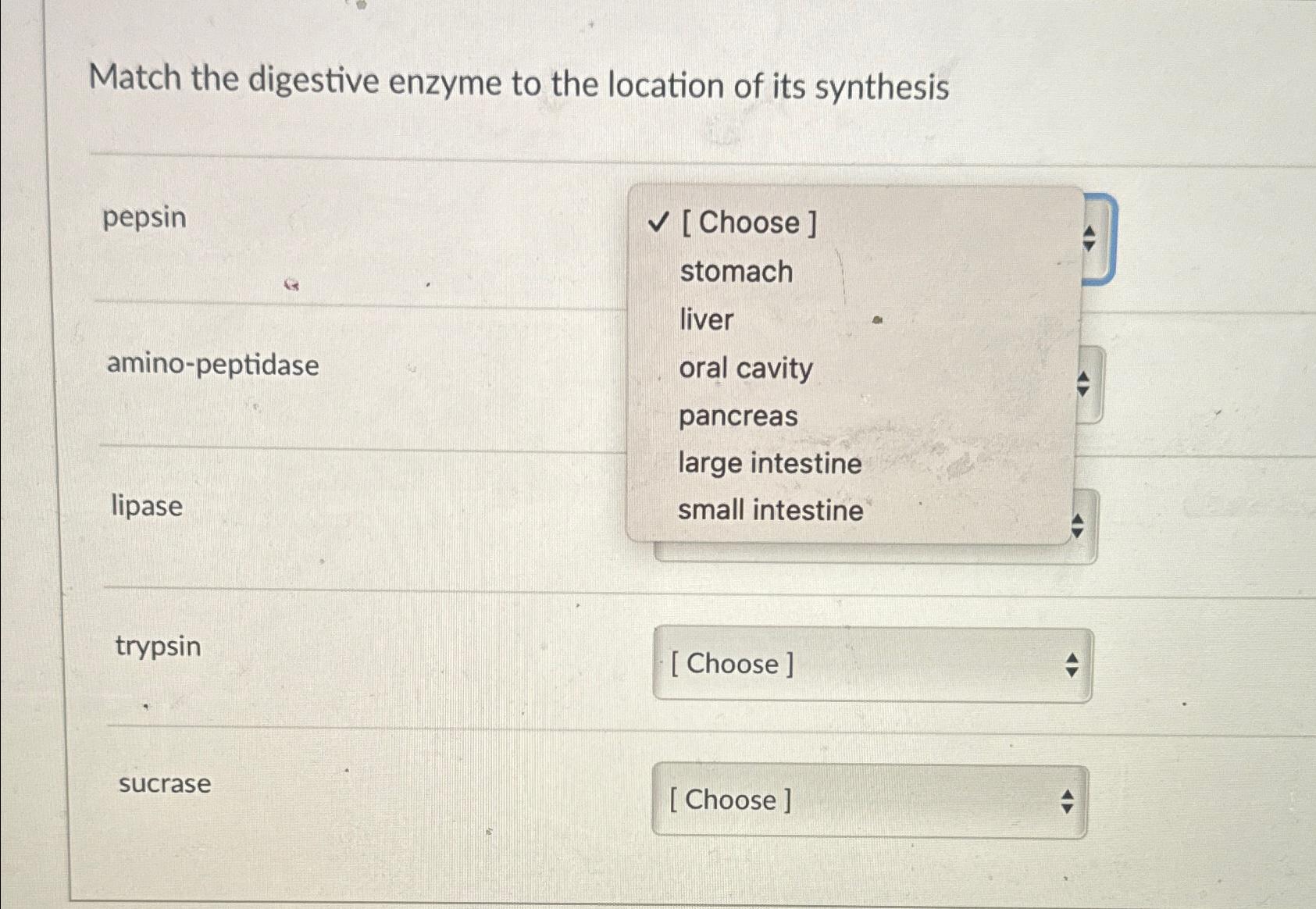 Solved Match the digestive enzyme to the location of its | Chegg.com