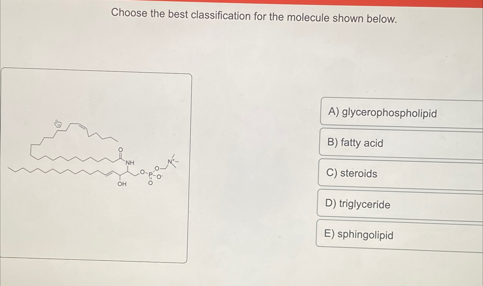 Solved Choose the best classification for the molecule shown | Chegg.com