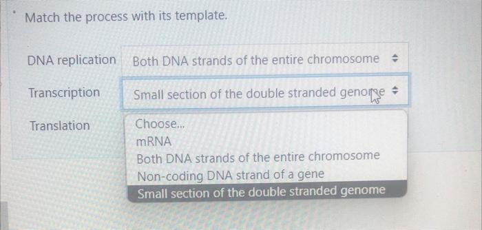 Solved Match the process with its template. DNA replication | Chegg.com