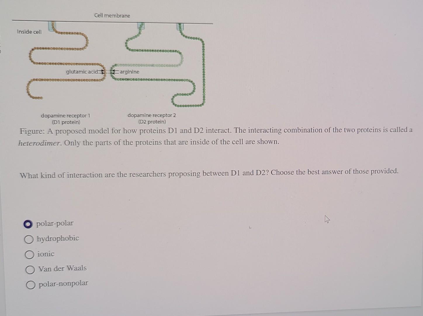 Solved Figure: A proposed model for how proteins D1 and D2 | Chegg.com