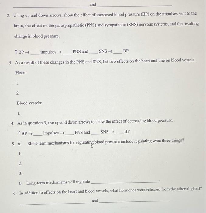 Solved Cardiovascular System: Regulation of Cardiac Output | Chegg.com