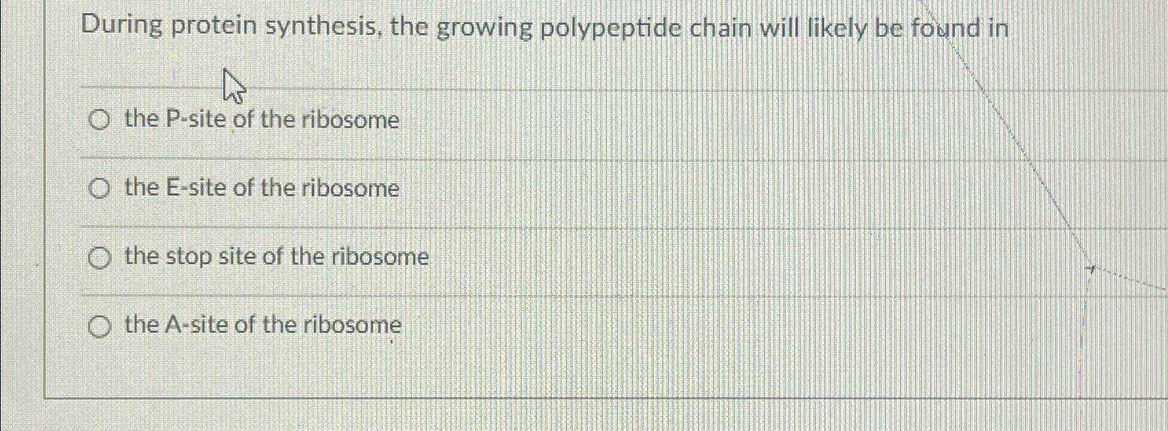 Solved During protein synthesis, the growing polypeptide | Chegg.com
