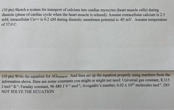 (10 pts) Sketch a system for transport of calcium | Chegg.com