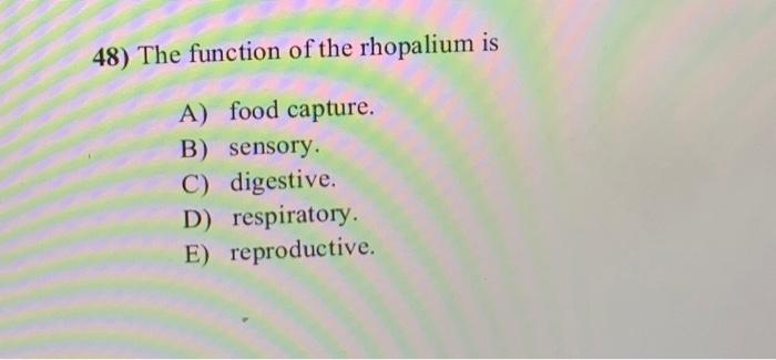 Solved 48) The function of the rhopalium is A) food capture. | Chegg.com
