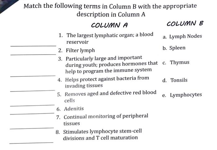 Solved Match the following terms in Column B with the | Chegg.com