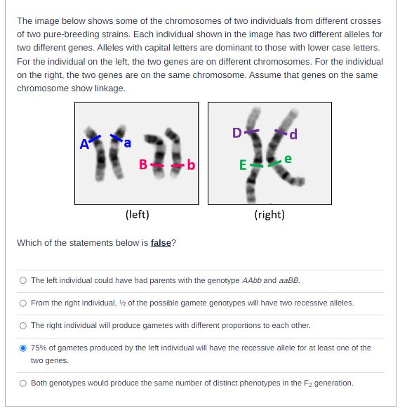 Solved The image below shows some of the chromosomes of two | Chegg.com