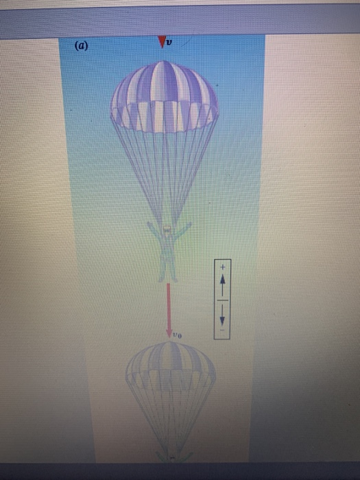 Solved PRINTER VERSION RACK Chapter 02, Problem 90 | Chegg.com