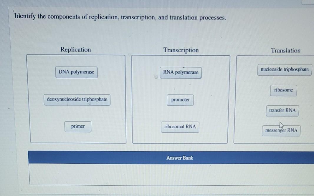 Solved Identify the components of replication, | Chegg.com