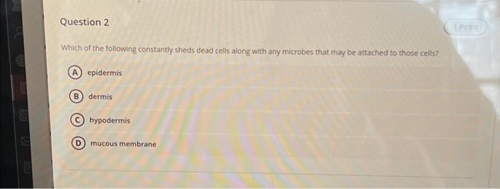 Solved Which of the following eell participate in innate | Chegg.com
