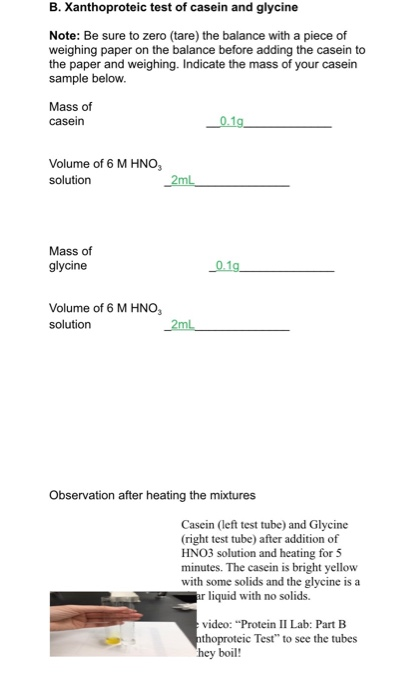 Solved 3. a Did casein give a positive xanthoproteic test in | Chegg.com