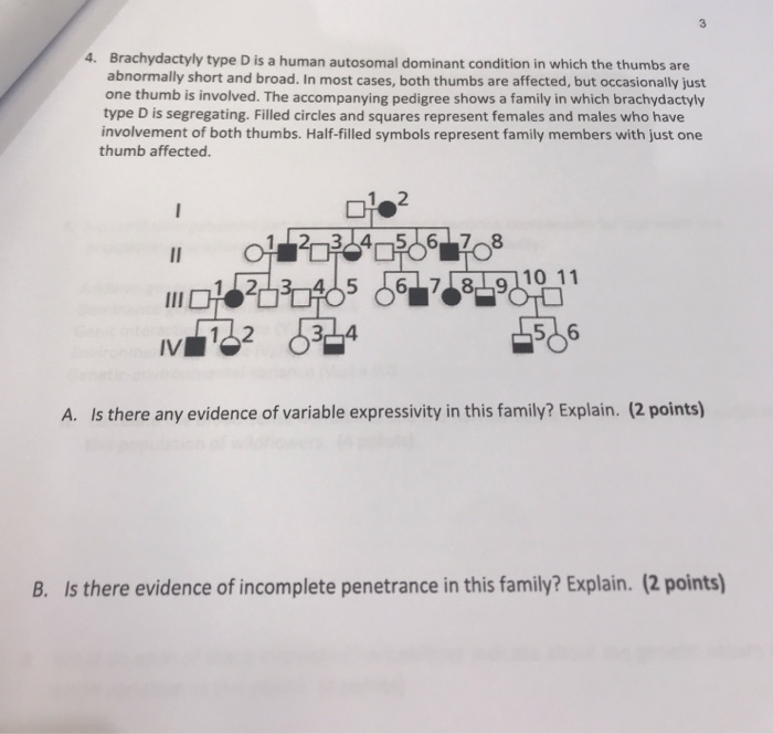 Solved 4. Brachydactyly type D is a human autosomal dominant | Chegg.com