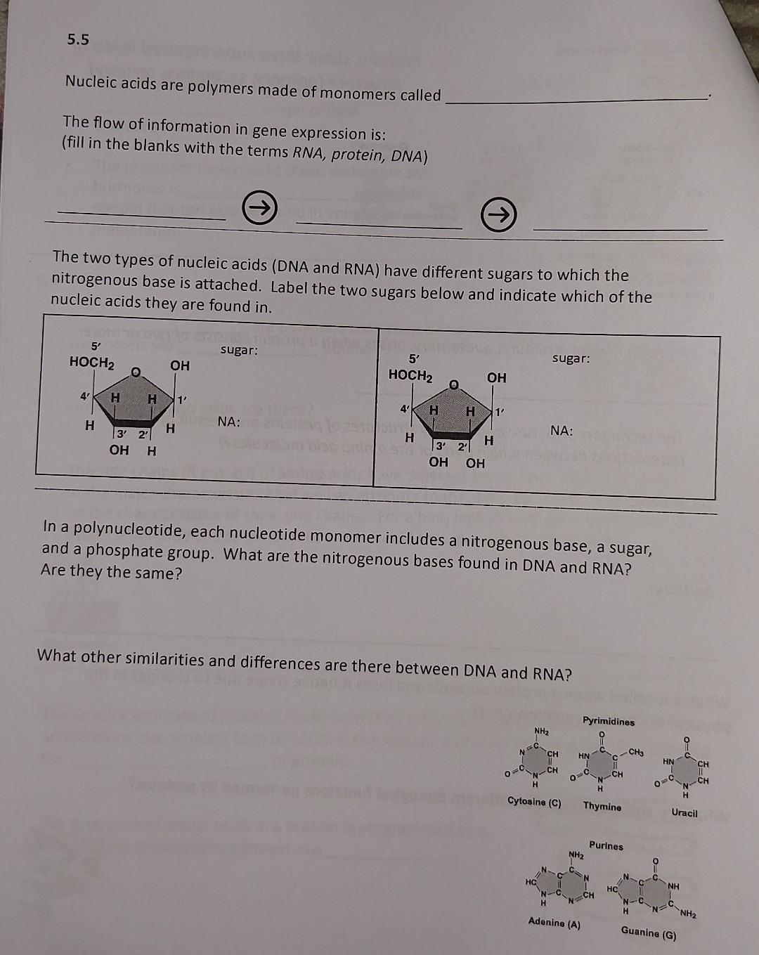 Solved Proteins share three superimposed levels of structure | Chegg.com