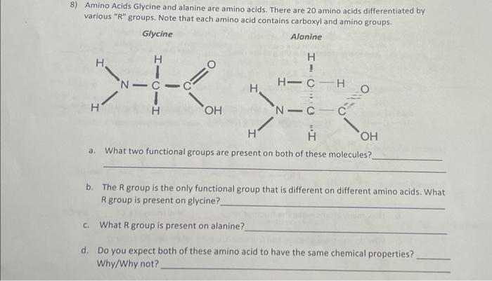 Solved Amino Acids Glycine and alanine are amino acids. | Chegg.com