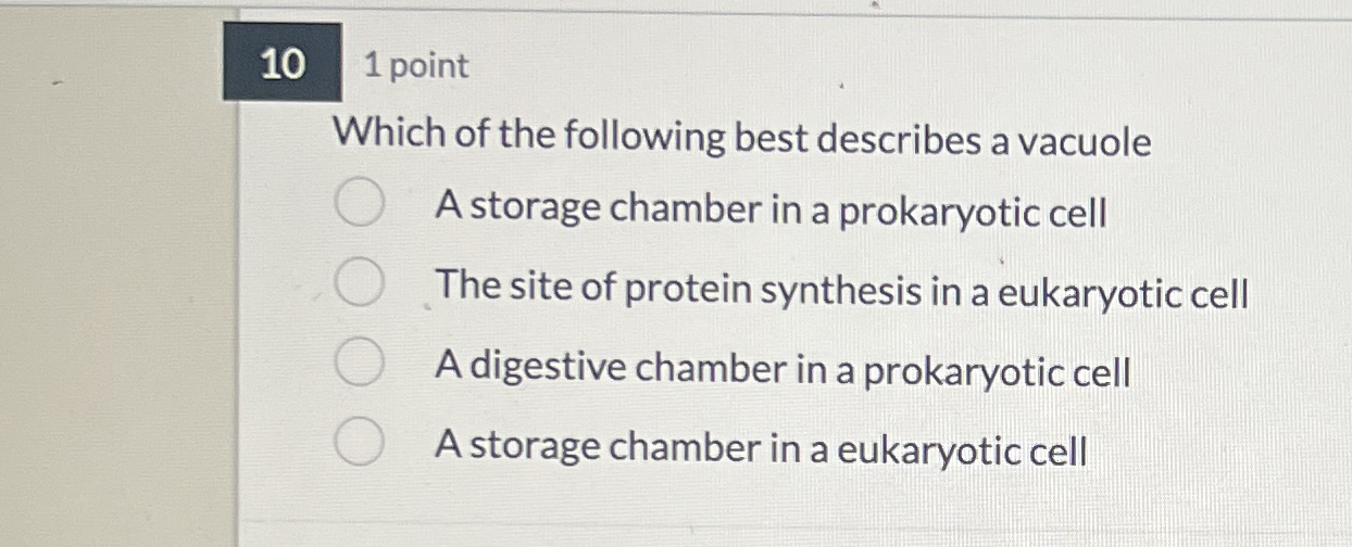 Solved 101 ﻿pointWhich of the following best describes a | Chegg.com