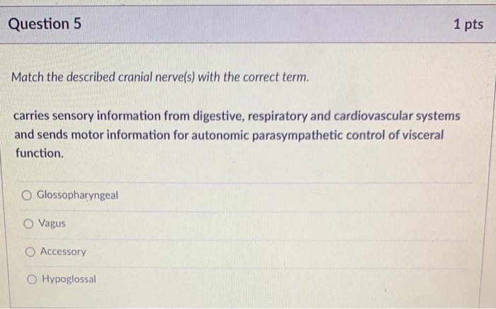 Solved Question 5 1 pts Match the described cranial nerve(s) | Chegg.com