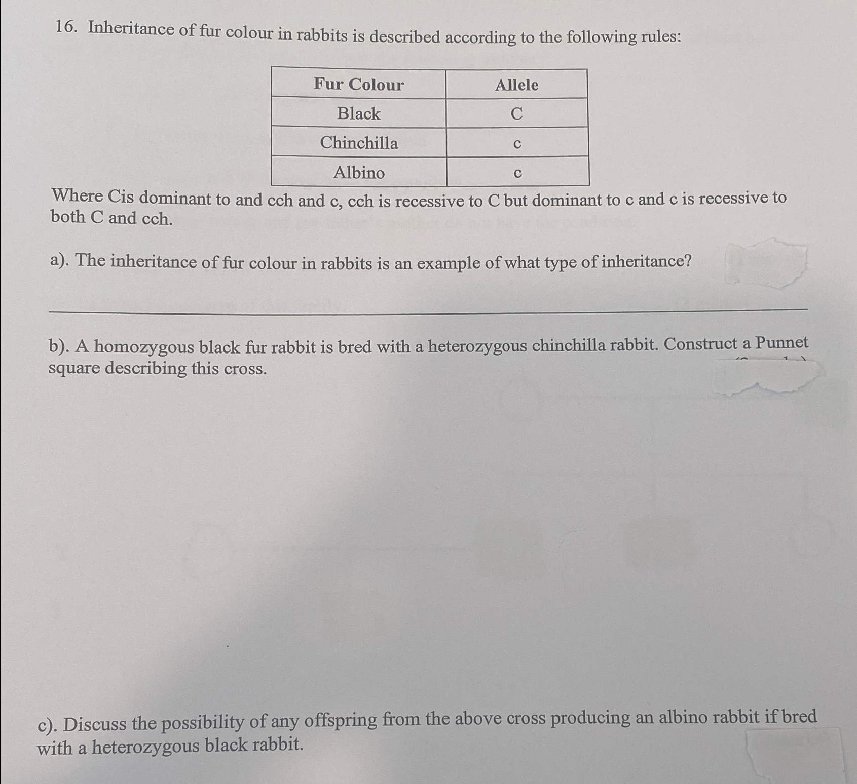 Solved Inheritance of fur colour in rabbits is described | Chegg.com
