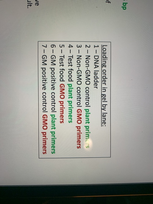 Solved PCR Discussion: Plant primers • In the reactions with | Chegg.com