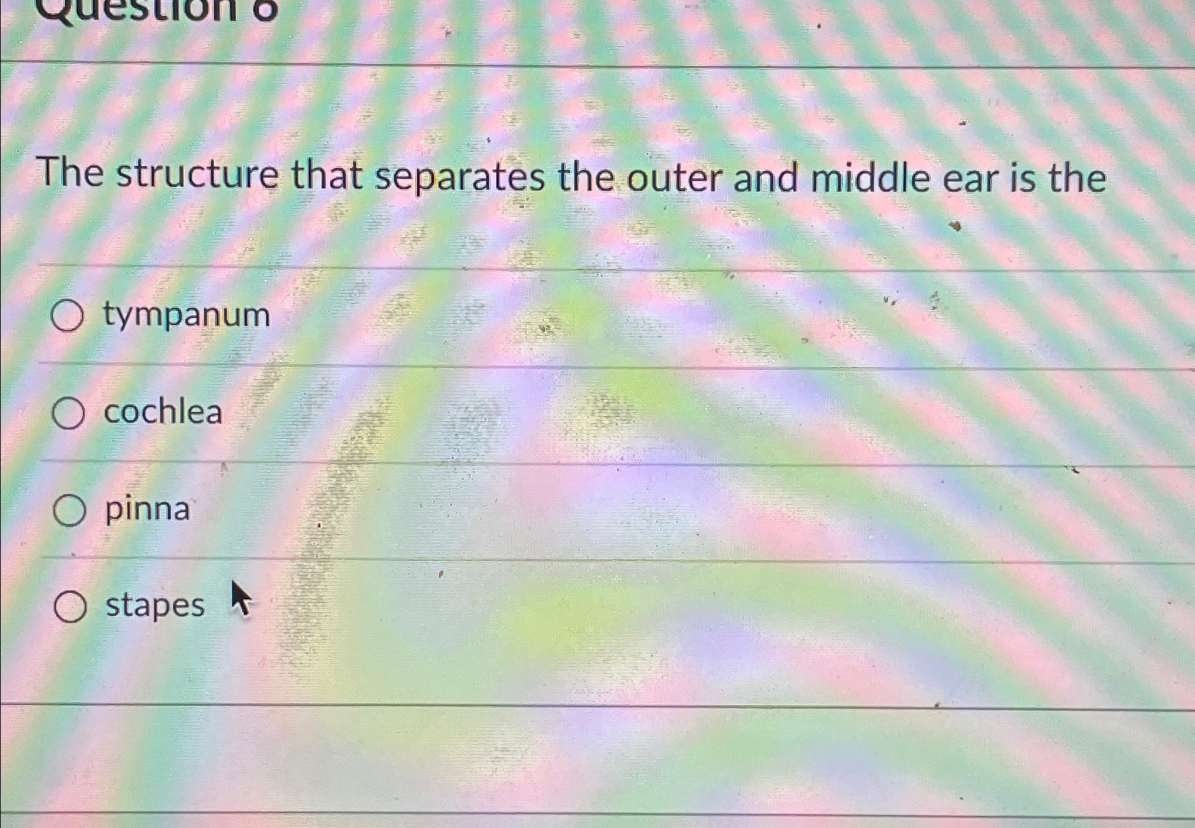 Solved The structure that separates the outer and middle ear | Chegg.com