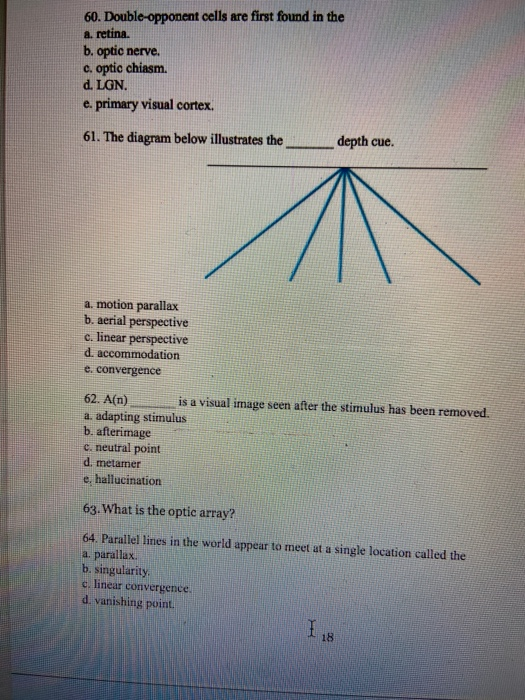 60. Double-opponent cells are first found in the a, | Chegg.com