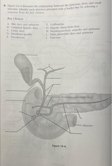 Solved 8. Figure 14 illustrates the relationship between the | Chegg.com