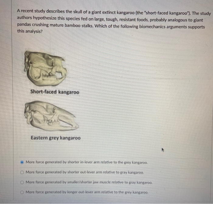 Solved The following diagram shows a simple neural network | Chegg.com