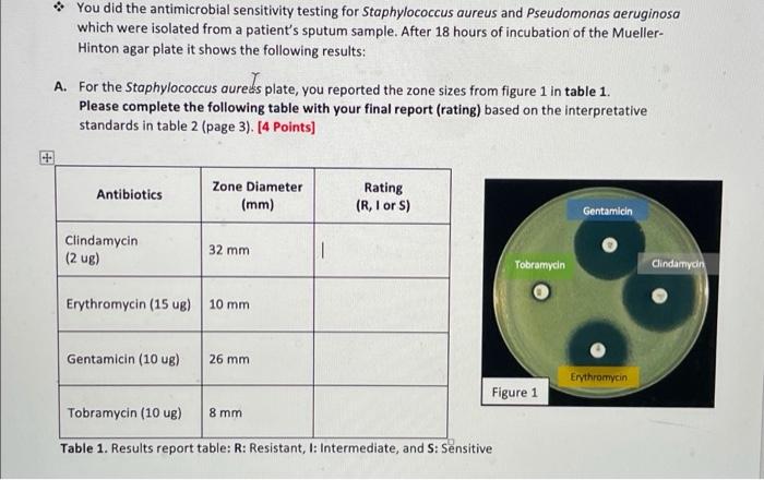 Solved • You did the antimicrobial sensitivity testing for | Chegg.com