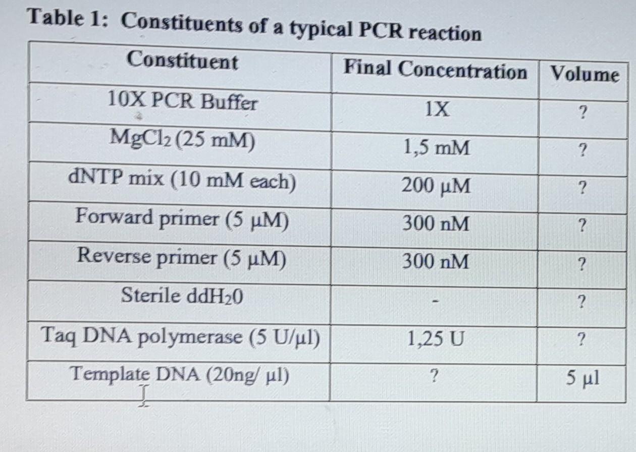 Solved explain the principle of dna isolation | Chegg.com