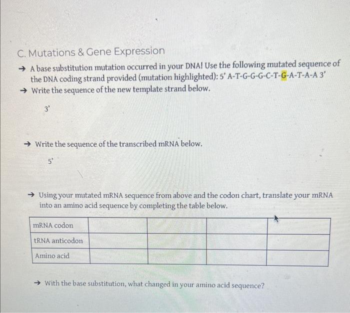 Solved C. Mutations \& Gene Expression → A base substitution | Chegg.com