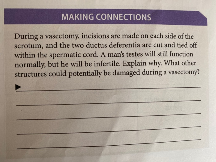 Solved MAKING CONNECTIONS During a vasectomy, incisions are | Chegg.com