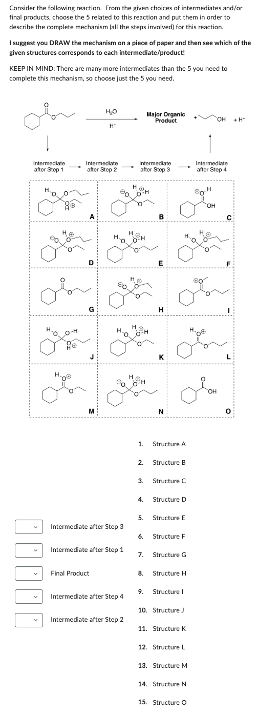 Solved final products, choose the 5 ﻿related to this | Chegg.com