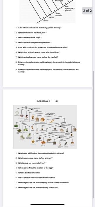 Solved CLADOGRAM 1 Hagfish Salamander Lizard Perch Feathers | Chegg.com