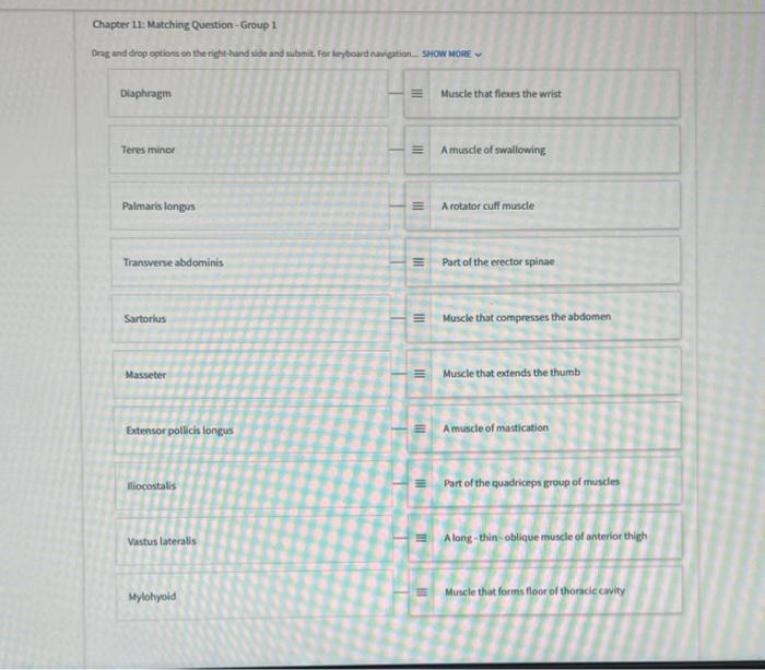 Solved Chapter 11: Matching Question - Group 1 Orag and drop | Chegg.com