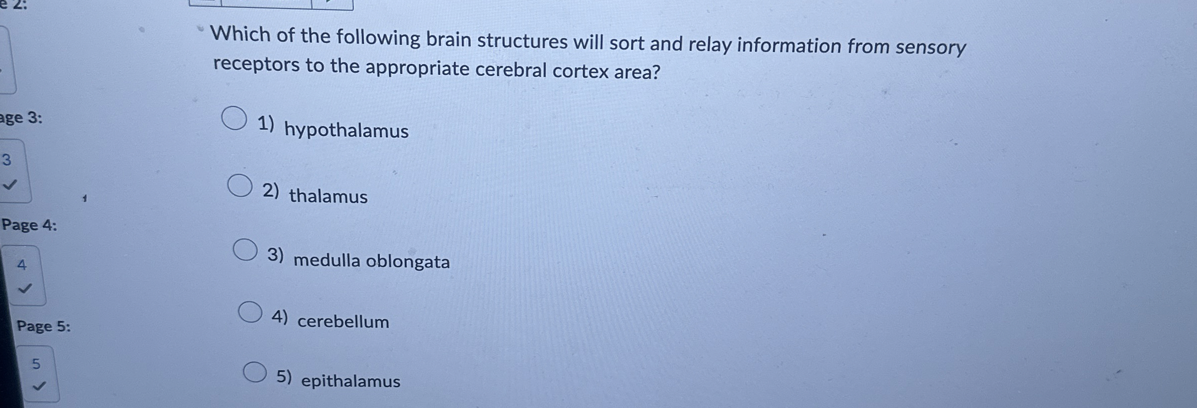 Solved Which of the following brain structures will sort and | Chegg.com